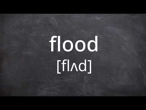 FLOOD Pronunciation in American English
