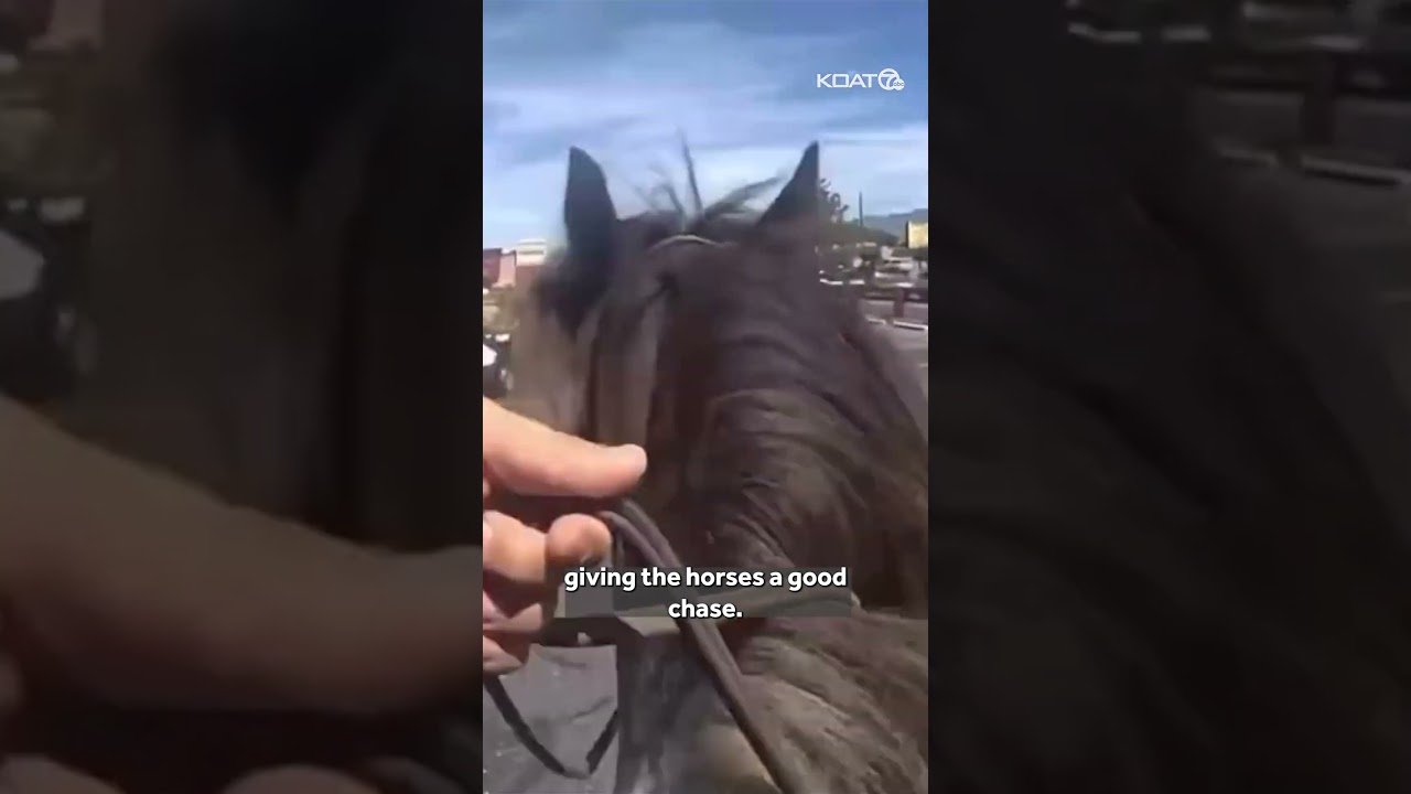 Police chase suspect while officers were on horses #albuquerque #police #news #bodycam