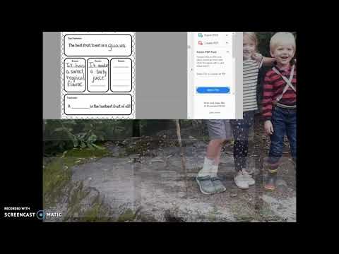 Opinion Writing - Graphic Organizers