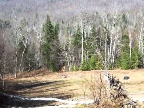 Homes for Sale - Broomstick Hill Road Littleton NH 03561 - Matthew Tellier