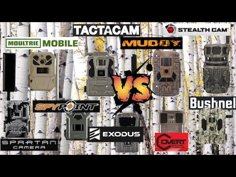 Cell Cam Clash - Moultrie VS. TactaCam VS. SpyPoint VS. Exodus VS. StealthCam VS. Bushnell