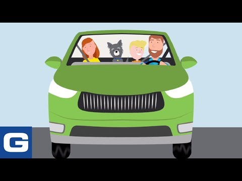 GEICO Drive Easy Pro