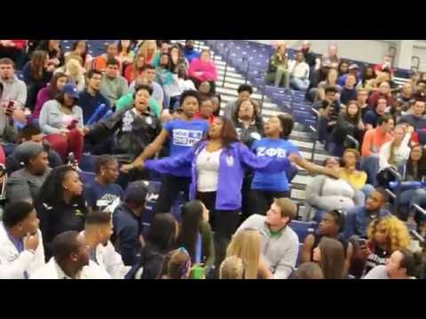 "Alpha Kappa Alpha & Zeta Phi Beta" (UIS Homecoming 2016)