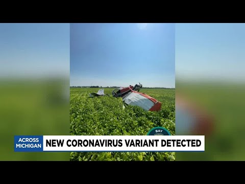 Crop duster crash under investigation