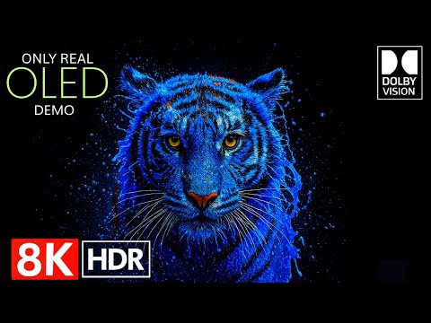 Amazing Dolby Vision 4K HDR 120FPS | ULTRA HD BGM Video – 8K Visionary
