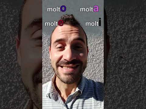 How to use MOLTO in Italian part 1 #shorts