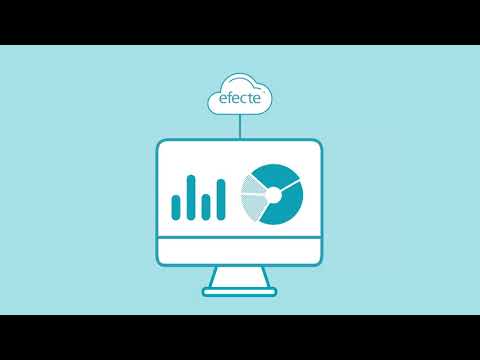 Financial Operations Management on Efecte