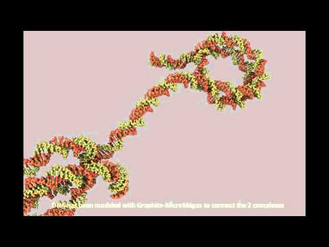 Easy DNA modeling with Graphite-LifeExplorer: Nucleosomes