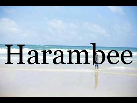 How To Pronounce Harambee🌈🌈🌈🌈🌈🌈Pronunciation Of Harambee