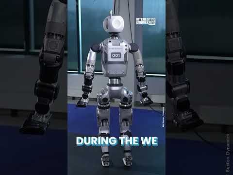 2024 in IE: Robotics