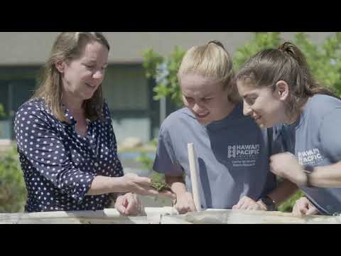 Experiential learning at HPU's Makapu‘u campus