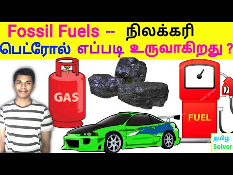 நிலக்கரி எப்படி உருவாகிறது ? What are fossil fuels ? How fossil fuels are formed ? TAMIL SOLVER