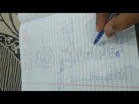 Synonym and antonyms