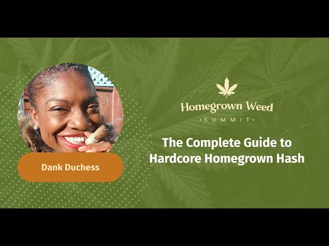 The Complete Guide to Hardcore Homegrown Hash | The Dank Duchess