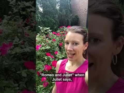 A Rose by Any Other Name: Learn English, Video