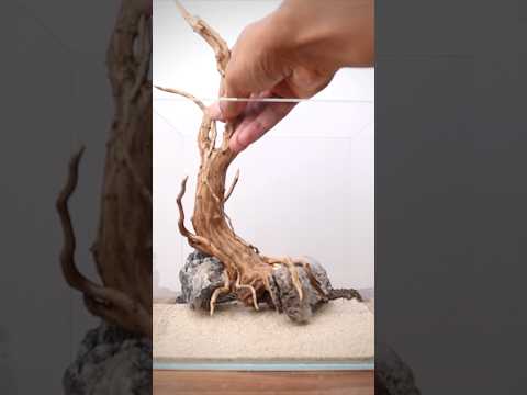 Creating a hardscape for a nano cube aquascape