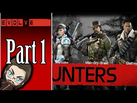 Evolve Streamthrough - Part 1