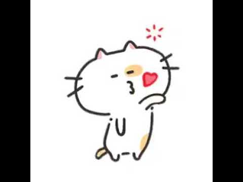Cat kissing gif