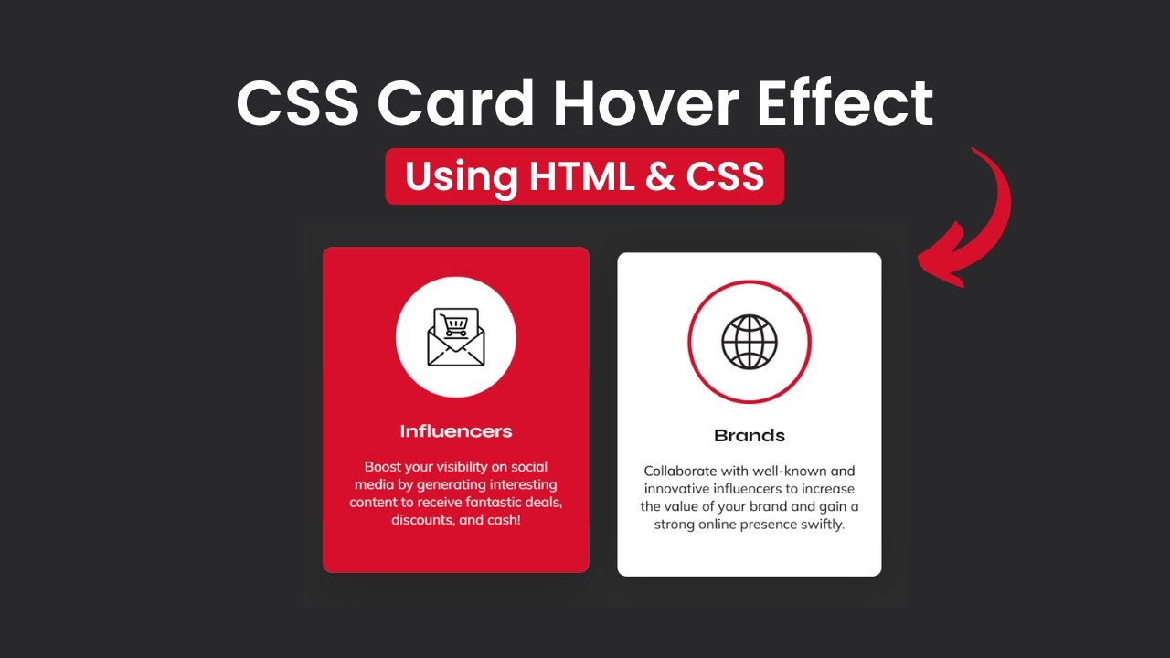 CSS Card Hover Effect Using HTML CSS | Card Hover Effect HTML CSS