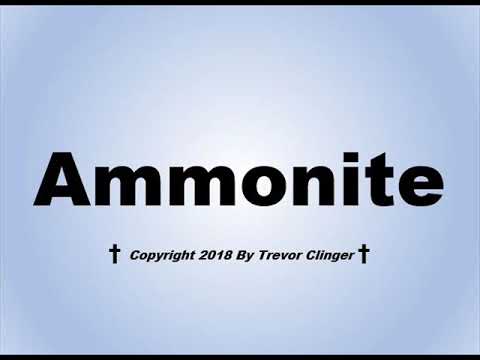 How To Pronounce Ammonite