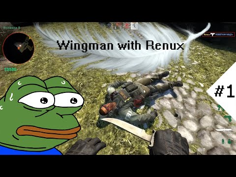 Steam Community :: Video :: CONTROVERSIAL | Wingman with Renux #1