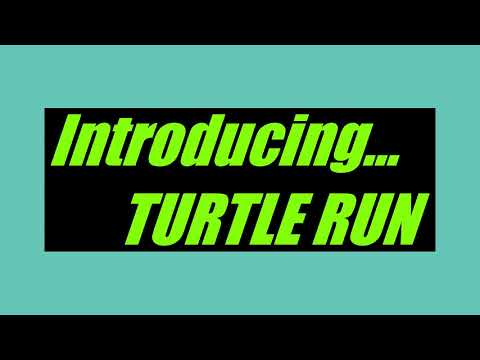 GitHub - derekqin8/turtle-run