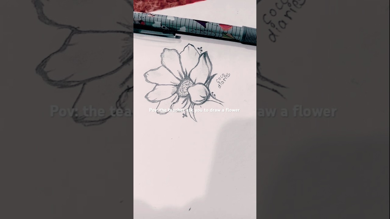 Pov: the teacher ask you to draw a flower 🌺 #shorts #drawing #art