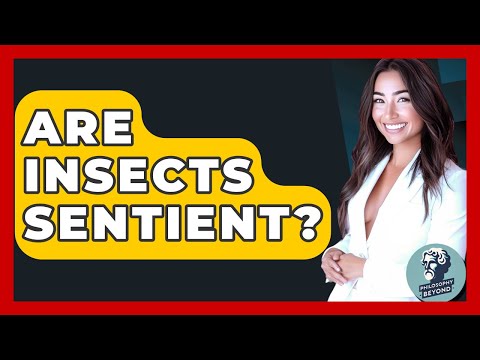 Are Insects Sentient? - Philosophy Beyond