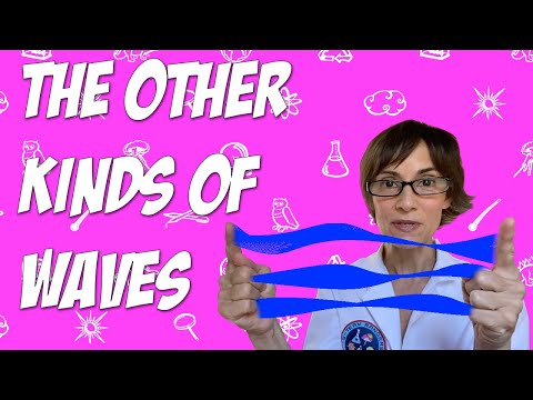 Longitudinal and Transverse Waves