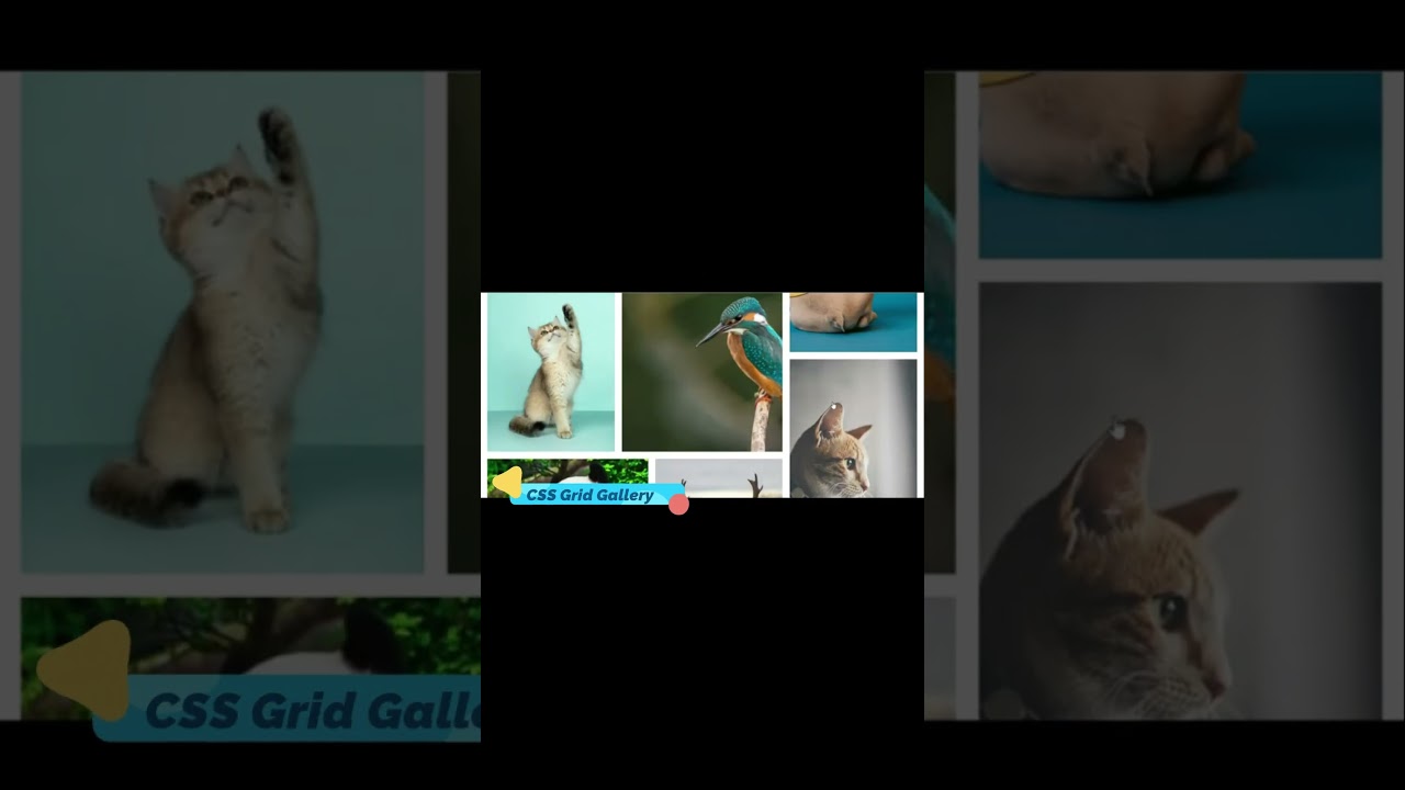 Responsive Image Gallery using CSS Grid in 2021 | CSS Grid Responsive Image Gallery | Image Gallery