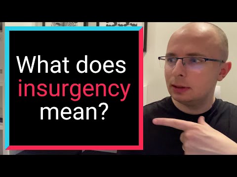 What does INSURGENCY mean? Find out Definition and Meaning