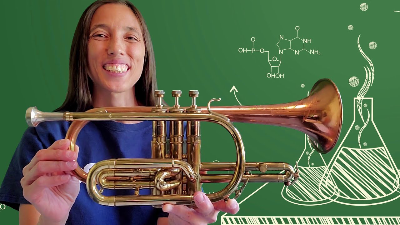 Science & Music | CSO