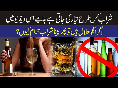 Alcohol Facts in Urdu/Hindi | Interesting Alcohol facts | Facts about wine | Spark Facts | Episode 8