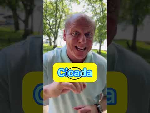 How do you say Cicada?