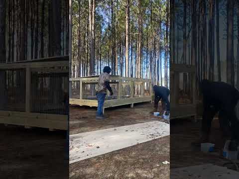 Four Bay Dog Kennel Build
