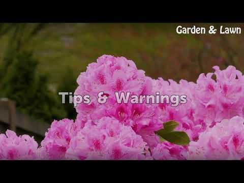 Mixing Directions for 2 4-D Weed Killer