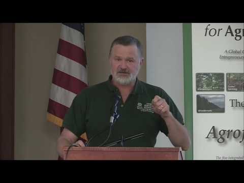 Restoration Agriculture: The Role of Trees