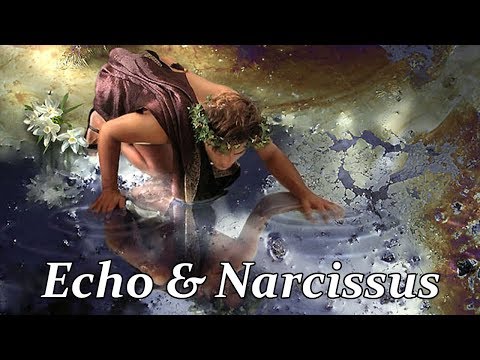 Narcissus: Echo & Narcissus A Tragic Tale of Vanity - (Greek Mythology Explained)
