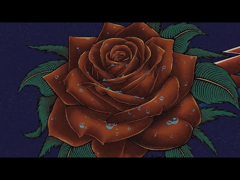 Dead and Company - The Sphere, Las Vegas | May 10th Poster Release Celebration Video