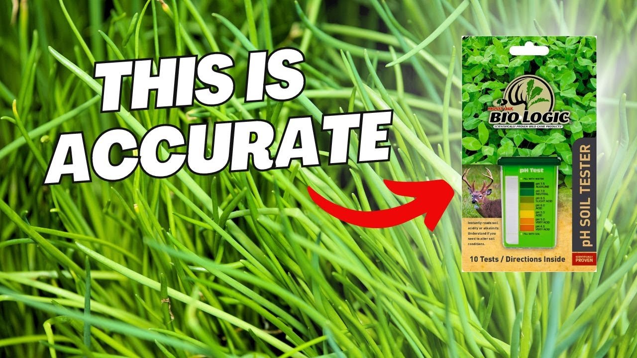 This DIY Soil Test Is Pretty Accurate