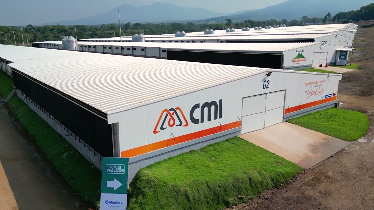 Transcendemos juntos: un propósito sostenible - CMI - Corporación Multi ...