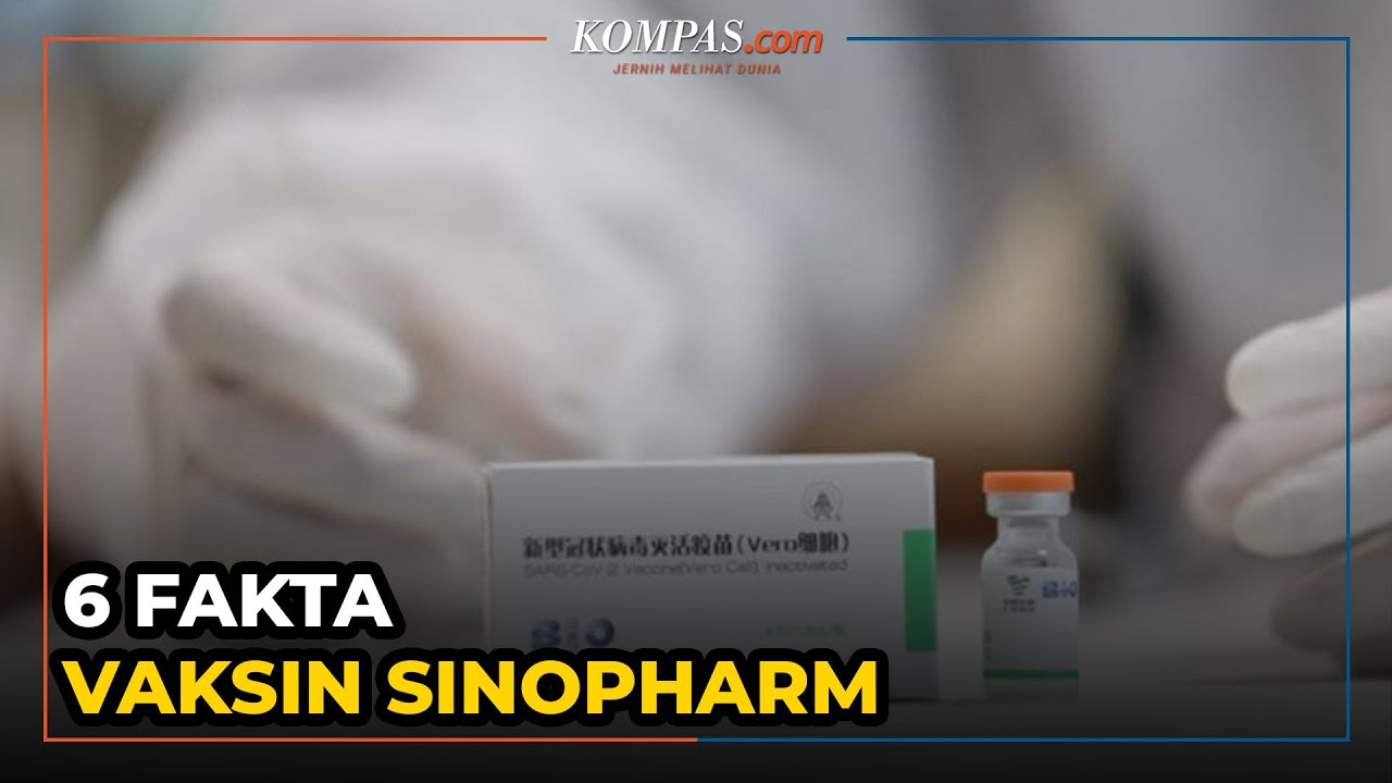 6 Fakta Vaksin Sinopharm, Vaksin Booster dengan Izin BPOM
