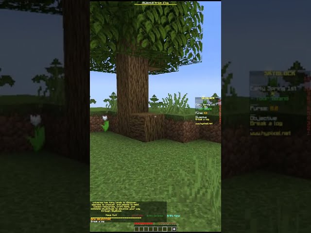 HyPixel SkyBlock Offline (Java Map with Data Pack) Minecraft Map