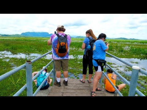 Videos – Isabel Jenkins