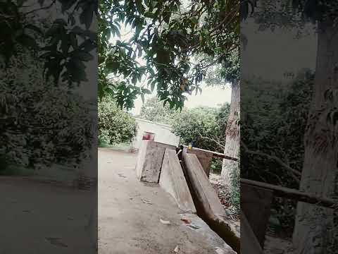 Nawah nawah bely new sariki song wajid Ali bagdadi official music video mix online music HD 2025.###
