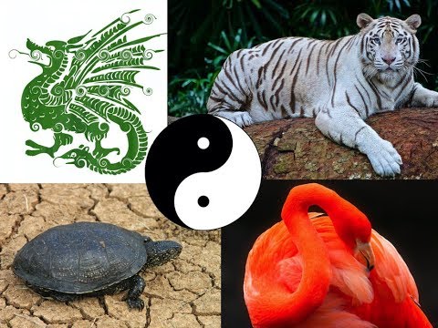 The Four Celestial Animals of Feng Shui - Lord Josh Allen