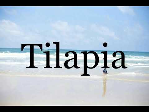 How To Pronounce Tilapia🌈🌈🌈🌈🌈🌈Pronunciation Of Tilapia