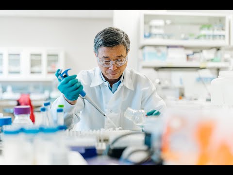 Helping Plants Affix Nitrogen from the Air
