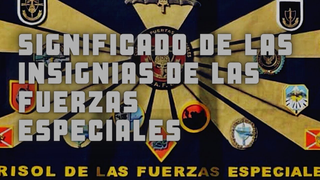 ¿CUAL ES EL SIGNIFICADO DE LAS INSIGNIAS DE LAS FUERZAS ESPECIALES?//(LOS FAMOSOS GAFES)