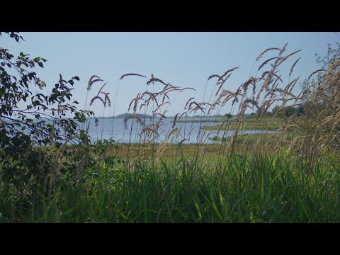 Vancouver waters | August 2024